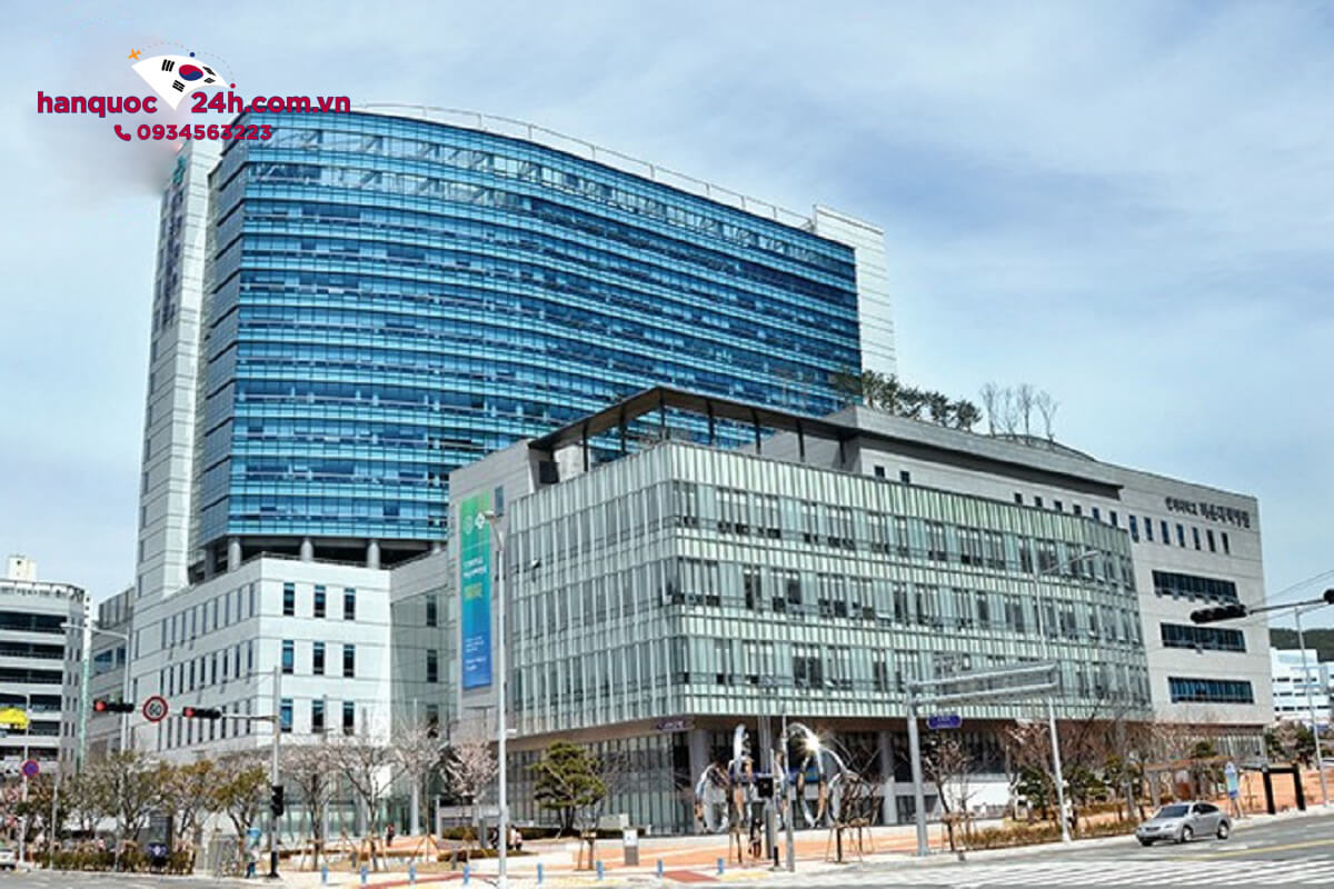 Trường Đại học Inje Hàn Quốc - Tư Vấn Du Học Hàn Quốc miễn phí 24/7